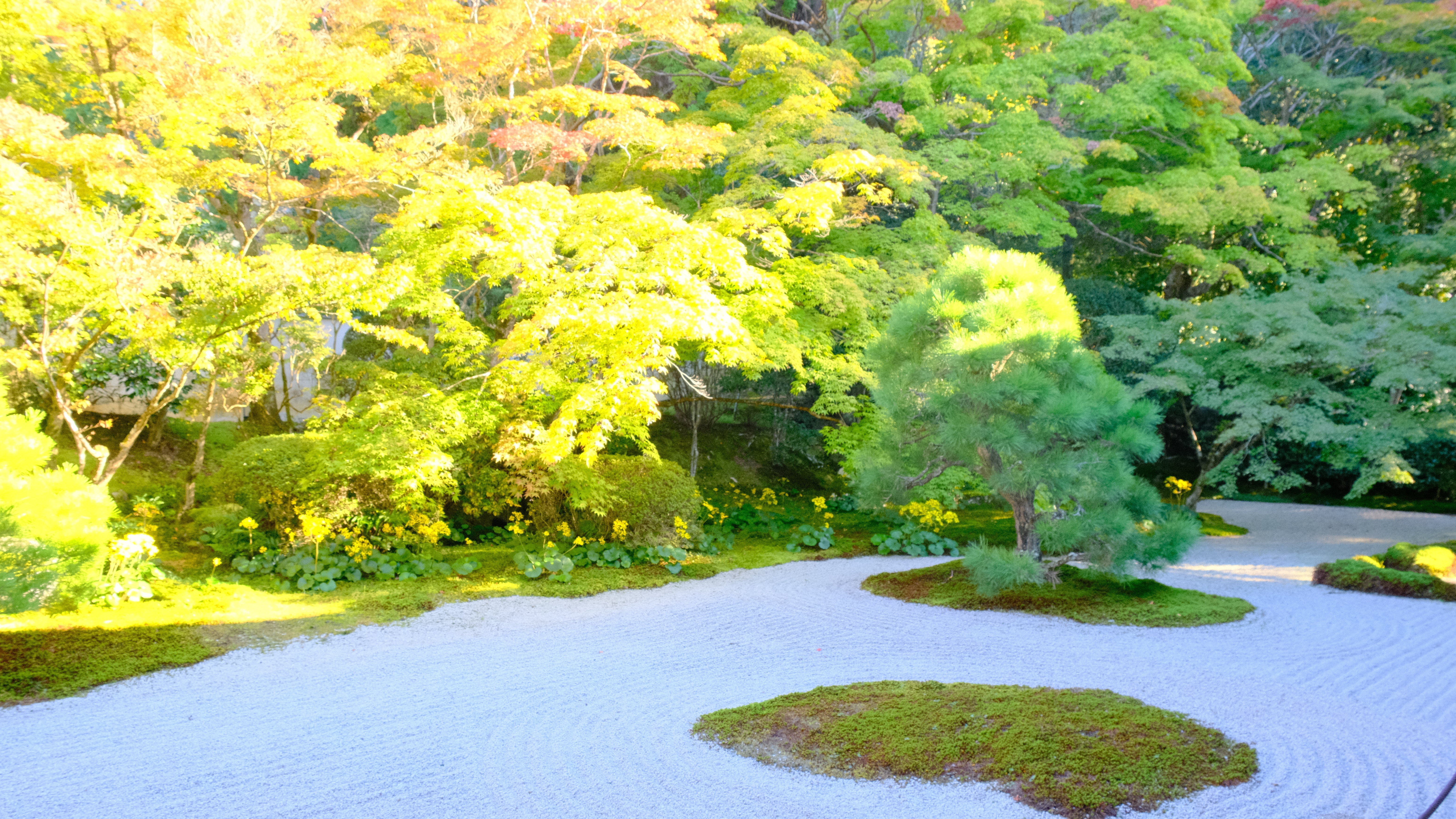 Zen Chawan – Mizu Chawan